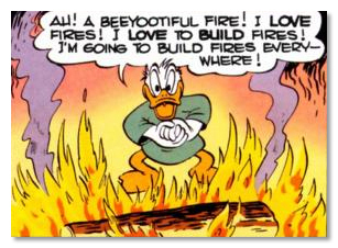 Alolan Ducklett | Goose on Fire / Fire Duck | Know Your Meme