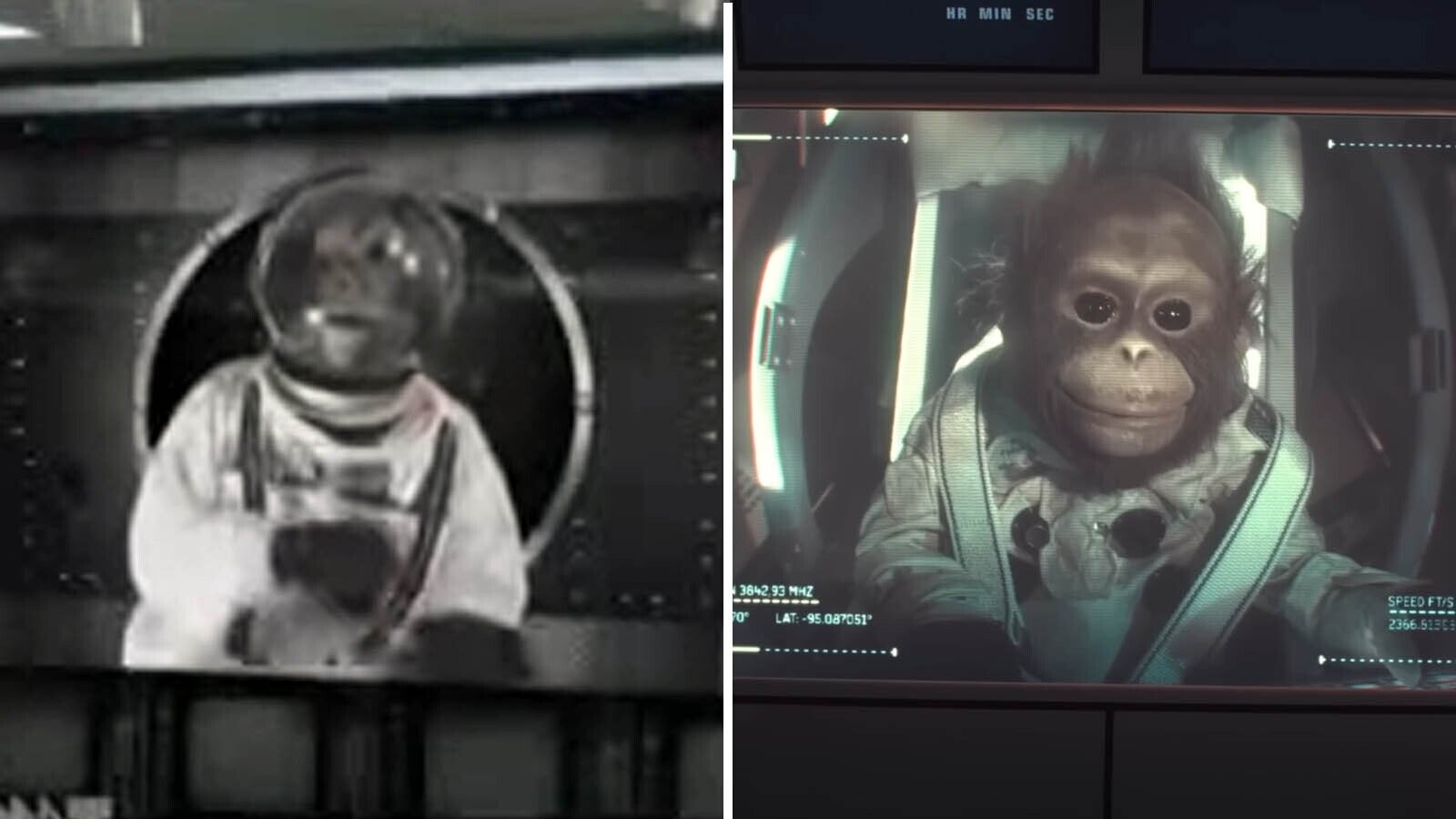 monkey astronaut joke