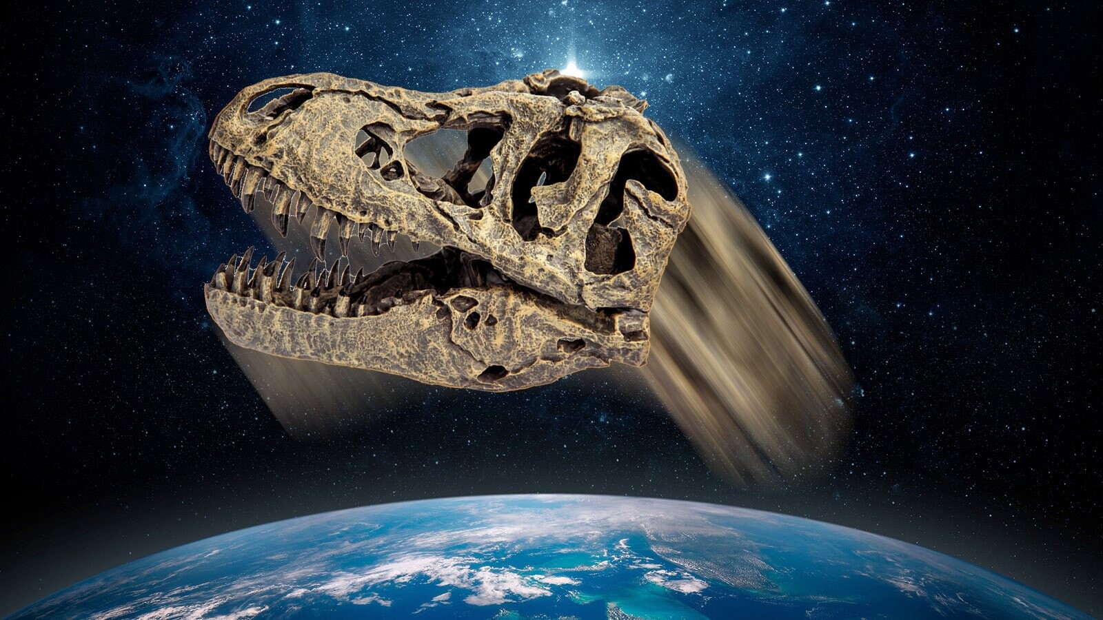 Five of the Weirdest Things We’ve Launched Into Space | Cracked.com