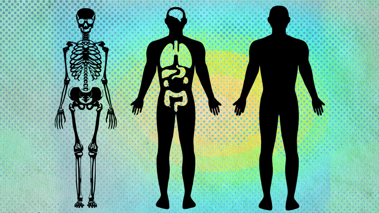 5 Super Senses Secretly Wielded by the Human Body | Cracked.com