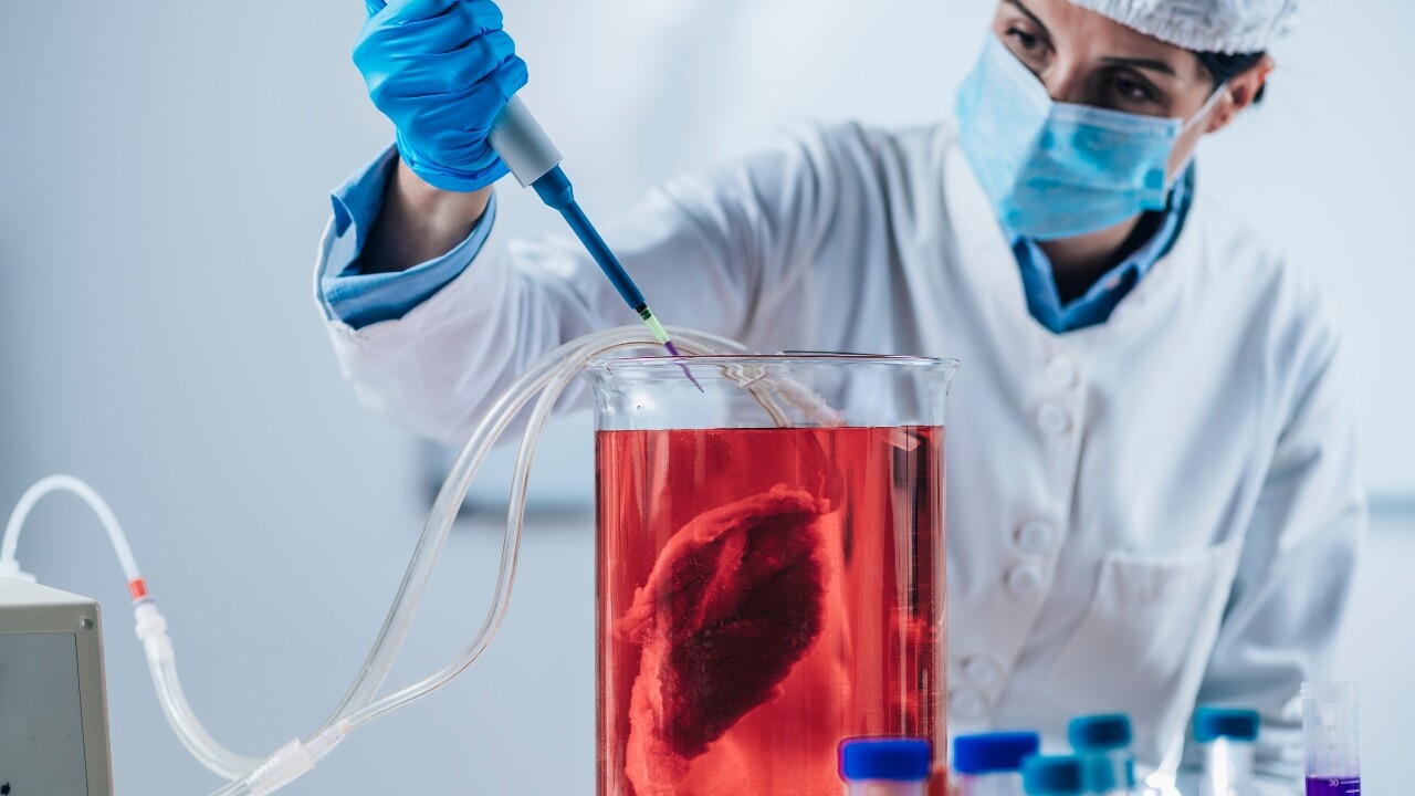 8 Things That Sound Like Sci-Fi But Are Actually Being Built Right Now ...