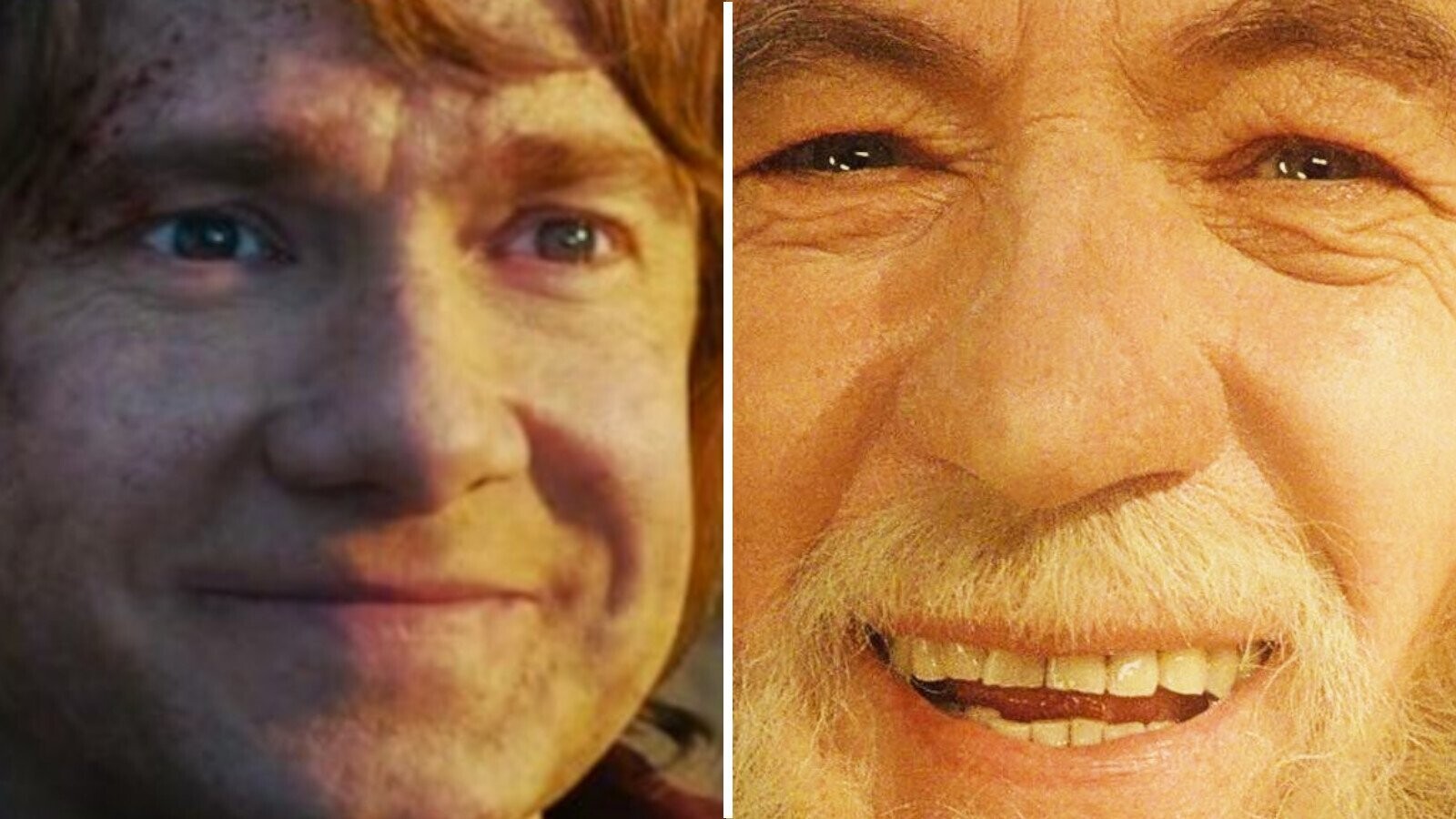 The Truest Realization of Tolkien's Vision Is This 'Lord Of The Rings ...