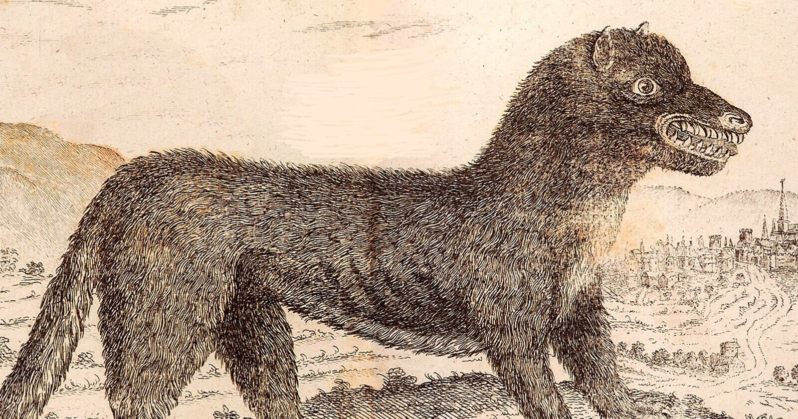 14 Individual Animals and Packs with the Highest Individual Human Kill ...