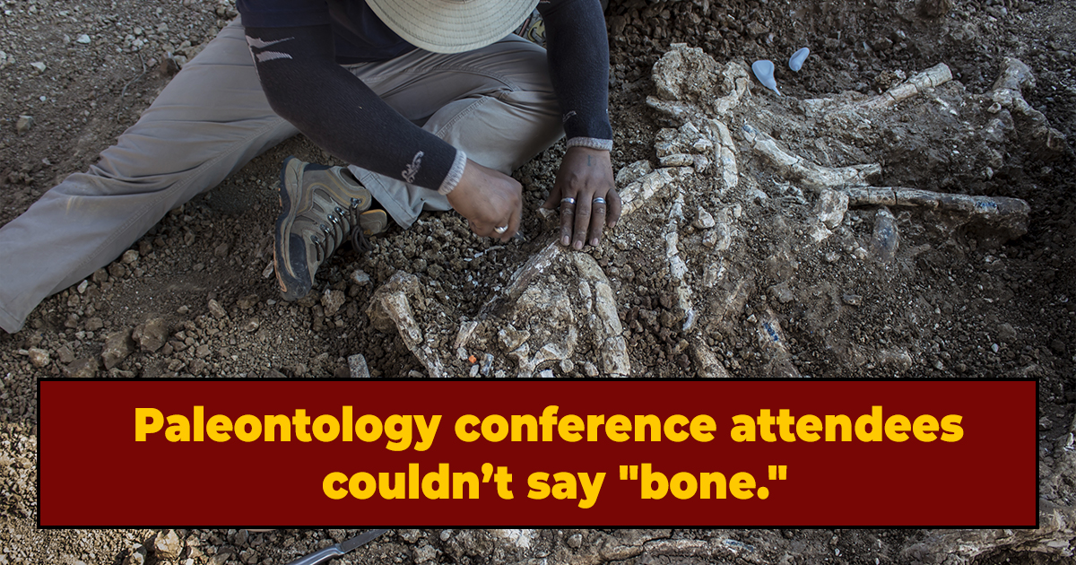 The Term "Bone" Was Banned At Recent Paleontology Conference | Cracked.com