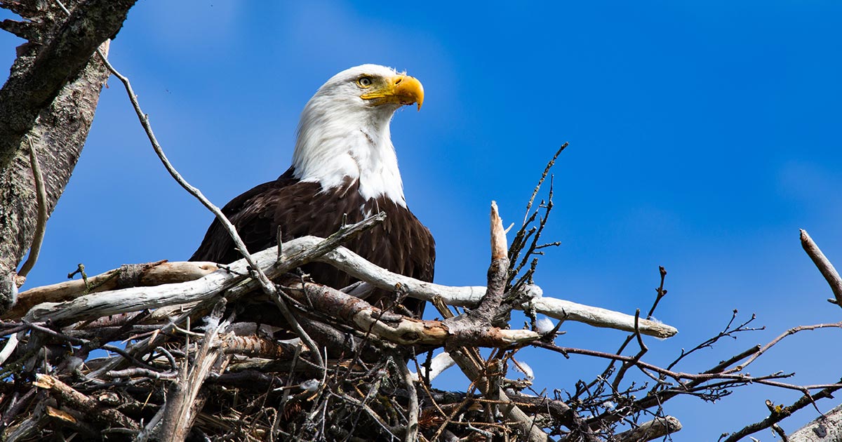 11 Real Photos That Prove Mother Nature Is Freaking Insane | Cracked.com