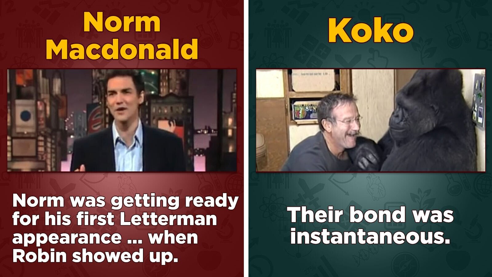 Celebs (And A Gorilla) On Meeting Robin Williams For The First Time ...