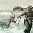 12 Old War Photographs You Won't Believe Aren't Photoshopped | Cracked.com