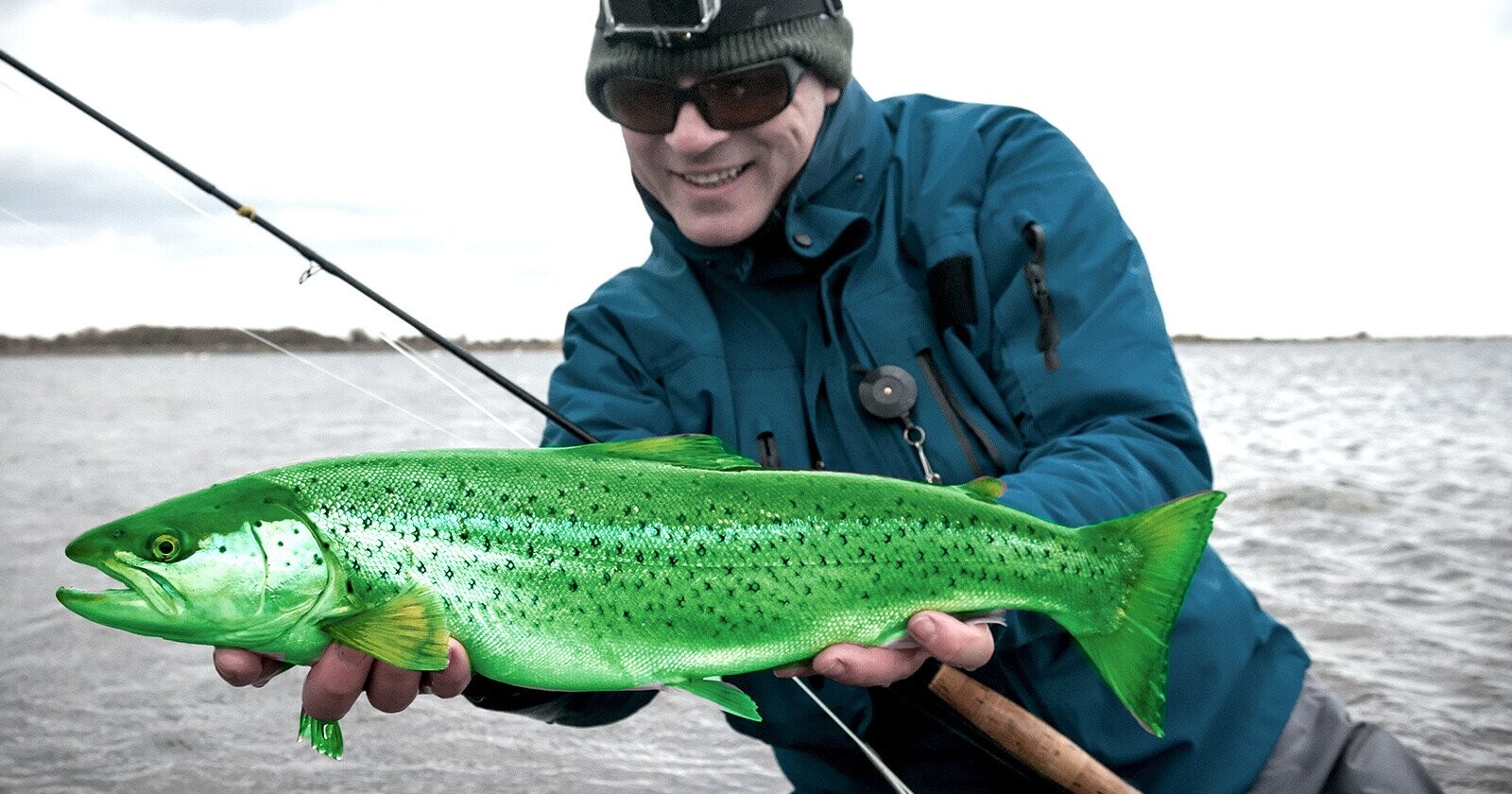 Your ‘Healthy’ Fish Is Forever — As In It’s Full of ‘Forever’ Chemicals ...