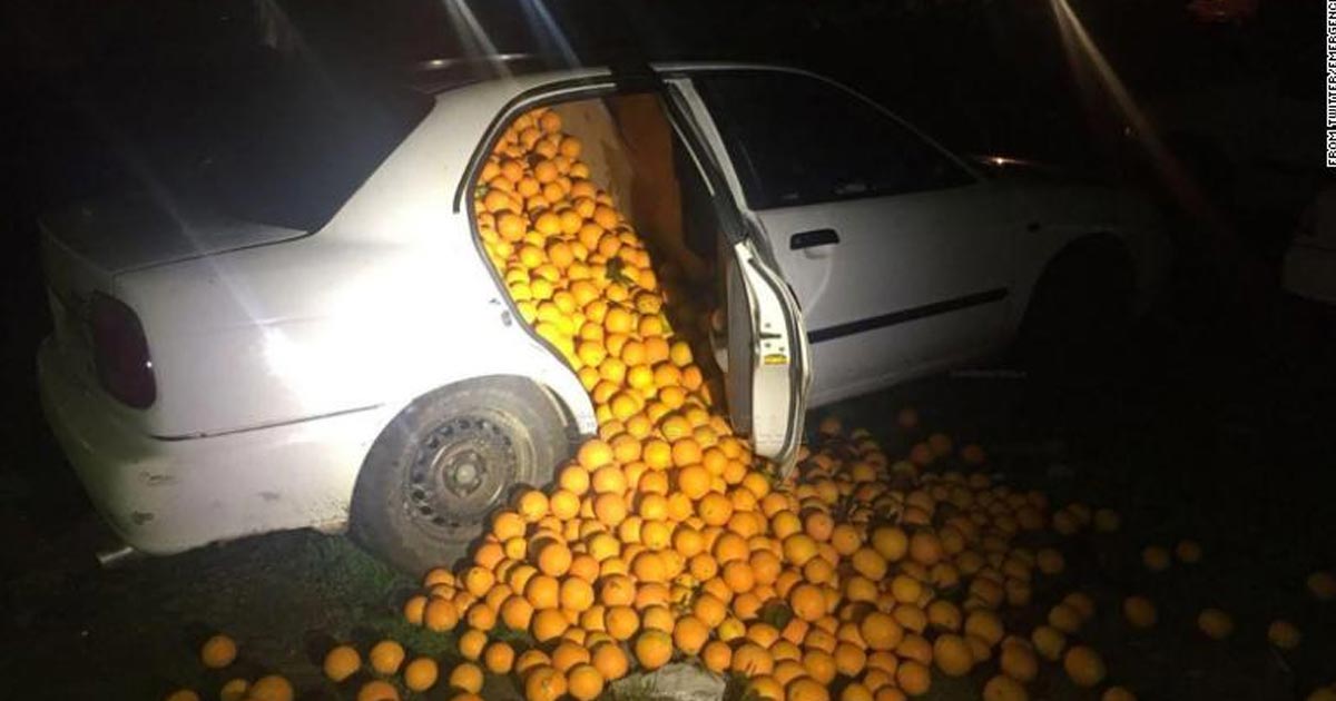 7 Crazy News Stories That Deserve Their Own Movies | Cracked.com