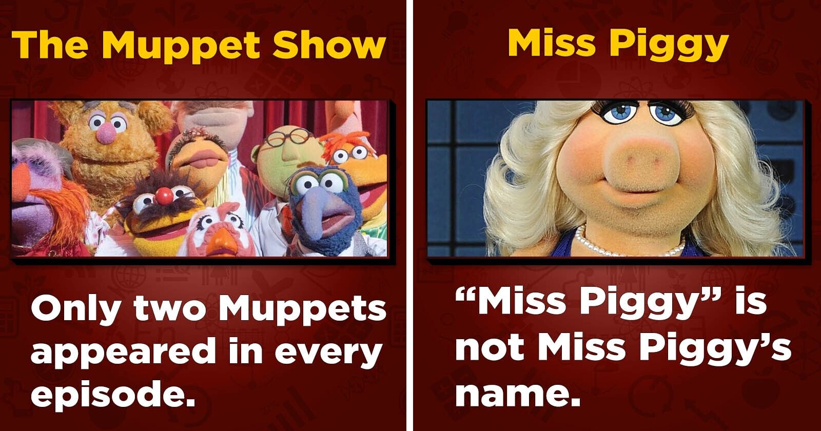 14 Trivia Tidbits About The Muppets | Cracked.com