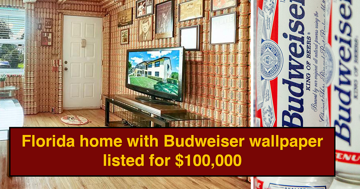 House Covered Entirely With Budweiser Cans On Sale For $100,000 ...