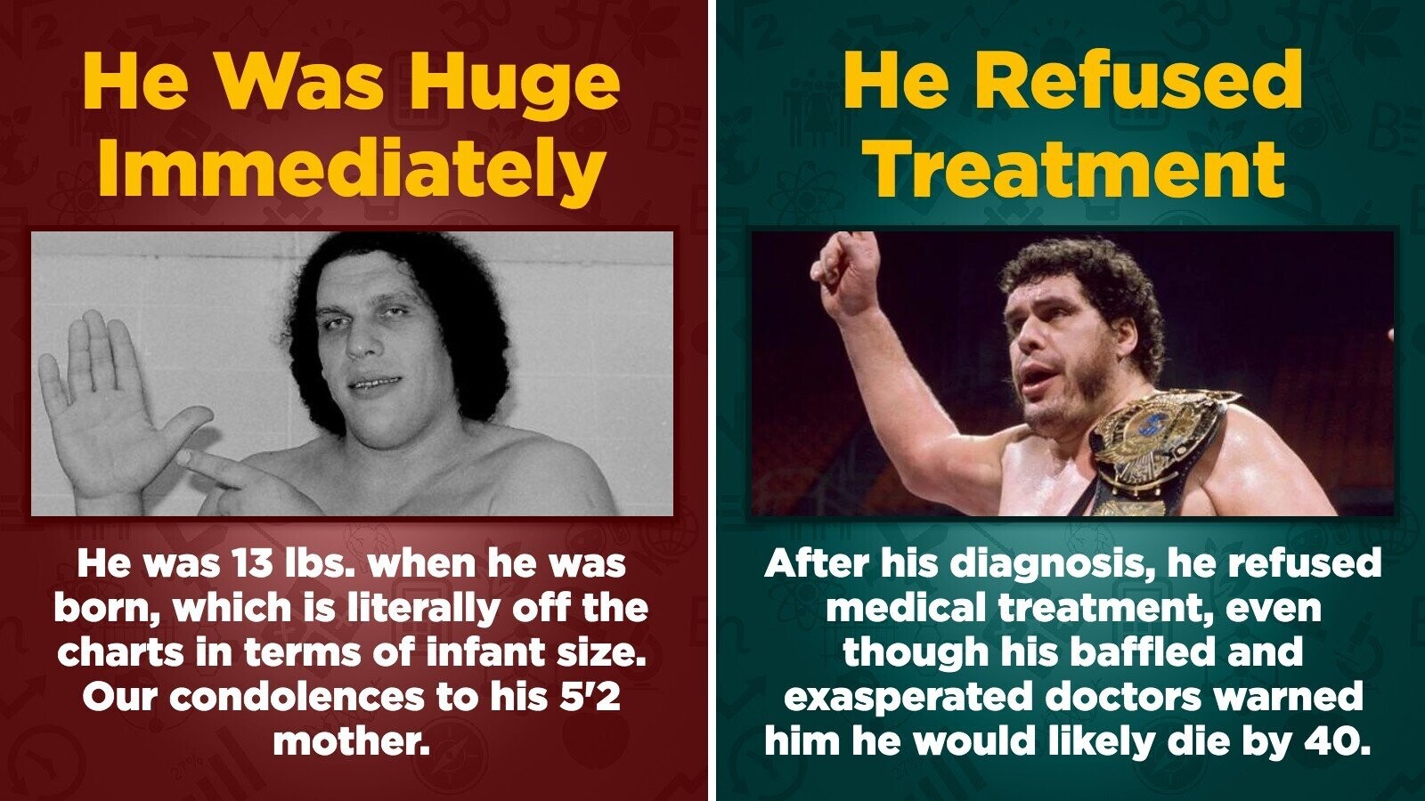 15 Supersize Facts About Andre the Giant | Cracked.com