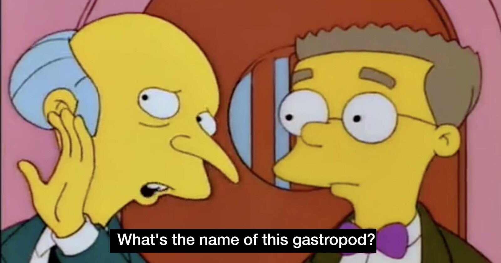 The ’Simpsons’ Subreddit Selects the Best Moments When Mr. Burns Didn’t ...