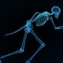 6 Terrifying Mutations With Awesome Historical Explanations | Cracked.com