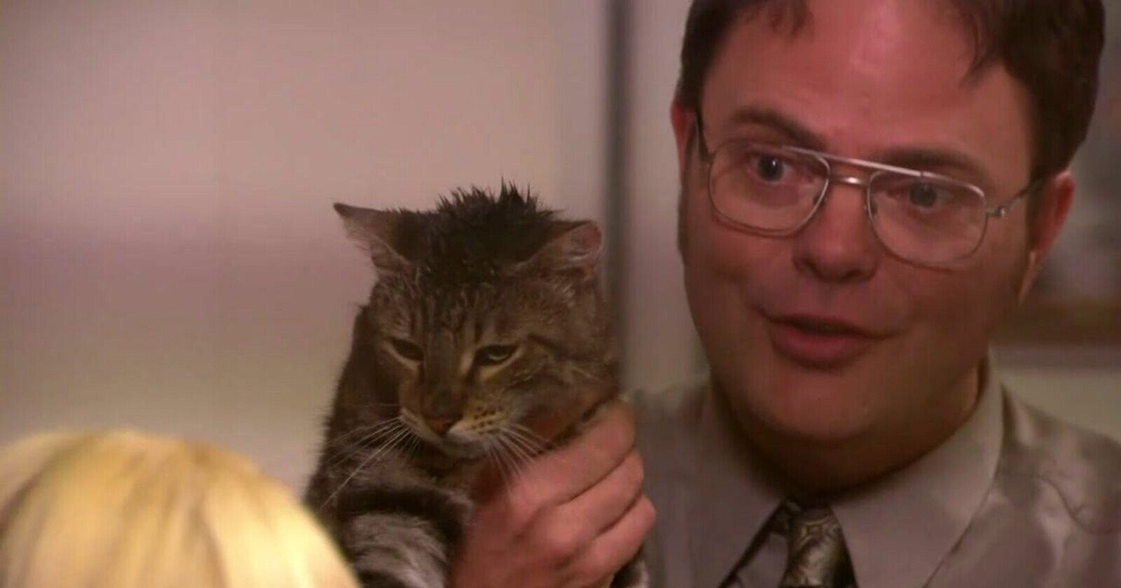 Rainn Wilson Has Unintentionally Become Dwight Schrute | Cracked.com