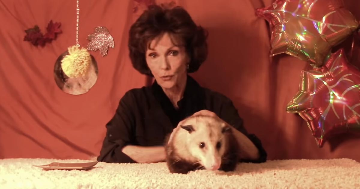 The 'Possum Lady' Is The Undisputed Eternal Queen Of YouTube | Cracked.com