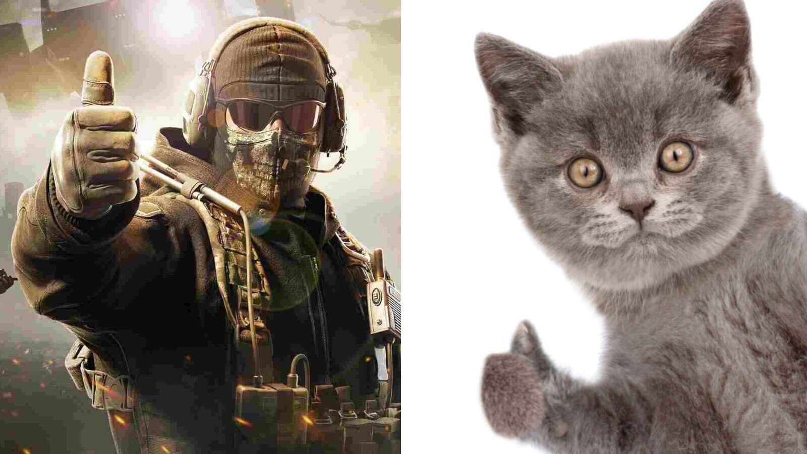 'Call Of Duty' Is Cat Laser for the Human Brain | Cracked.com