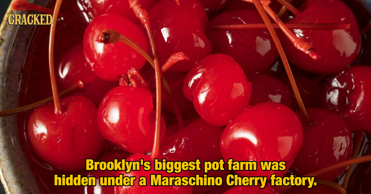 The Sticky Scandals Of Brooklyn's Maraschino Cherry Factory | Cracked.com