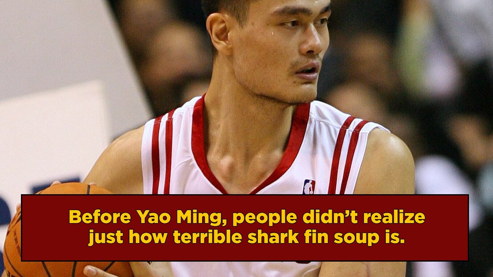 The NBA Player Who Saved Shark Populations | Cracked.com