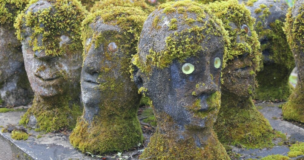 5 Creepy But Impressive Hobbies People Devoted Themselves To | Cracked.com