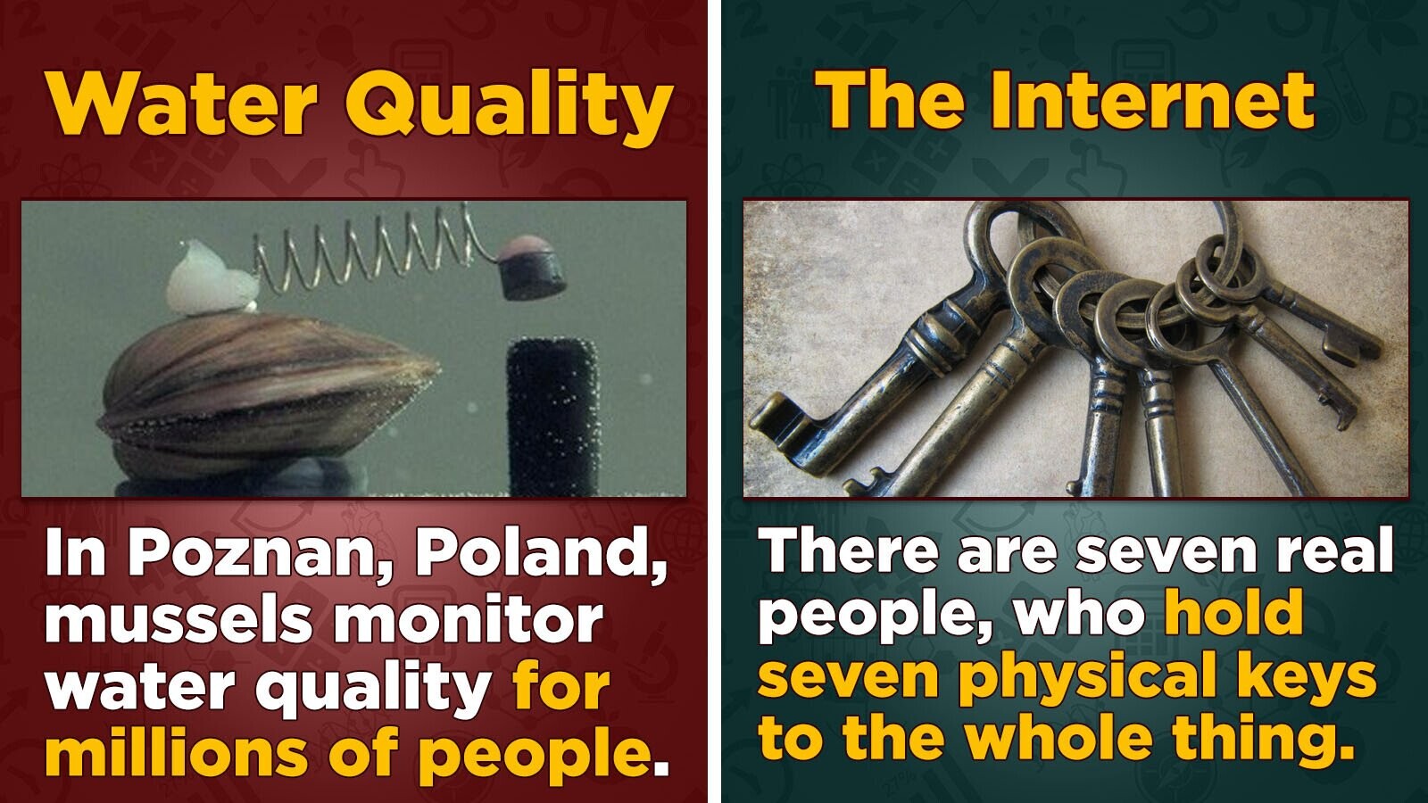 5 IRL Systems With Death-Star-Ridiculous Weaknesses | Cracked.com