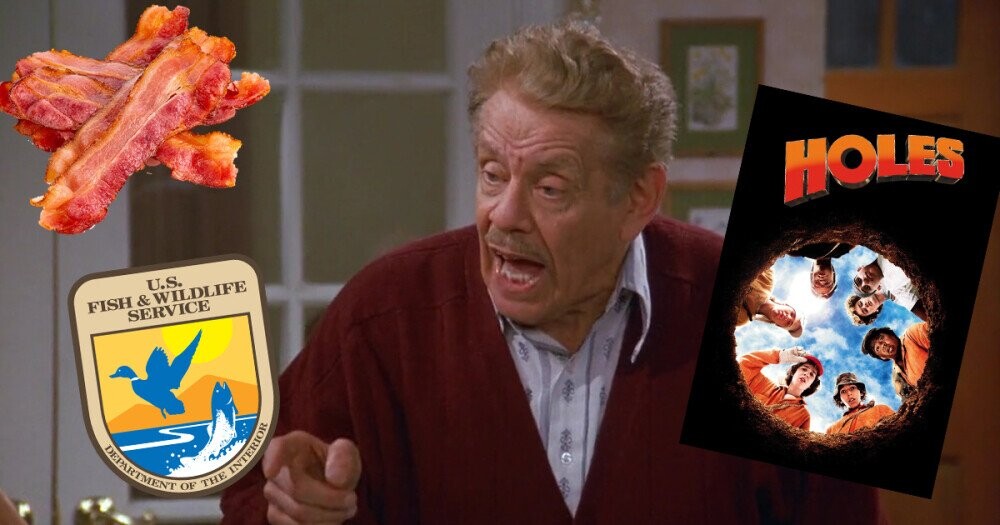 'Seinfeld' Is Back And In Honor Of Its Return, We Aired Our 4 Biggest ...