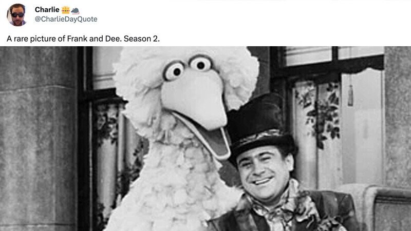 It Turns Out Sweet Dee from ‘It’s Always Sunny...’ Actually Is a Bird ...