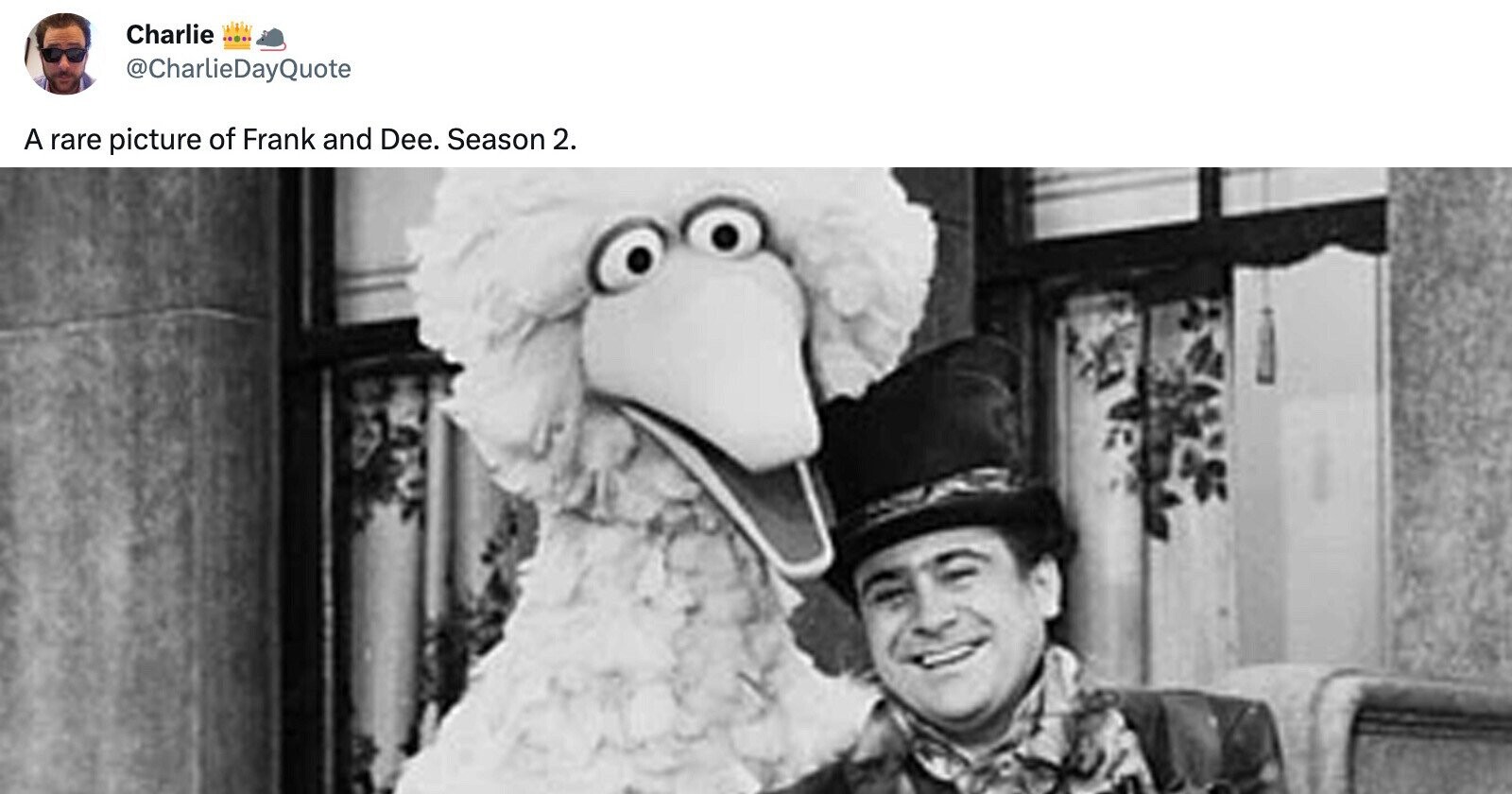 It Turns Out Sweet Dee from ‘It’s Always Sunny...’ Actually Is a Bird ...