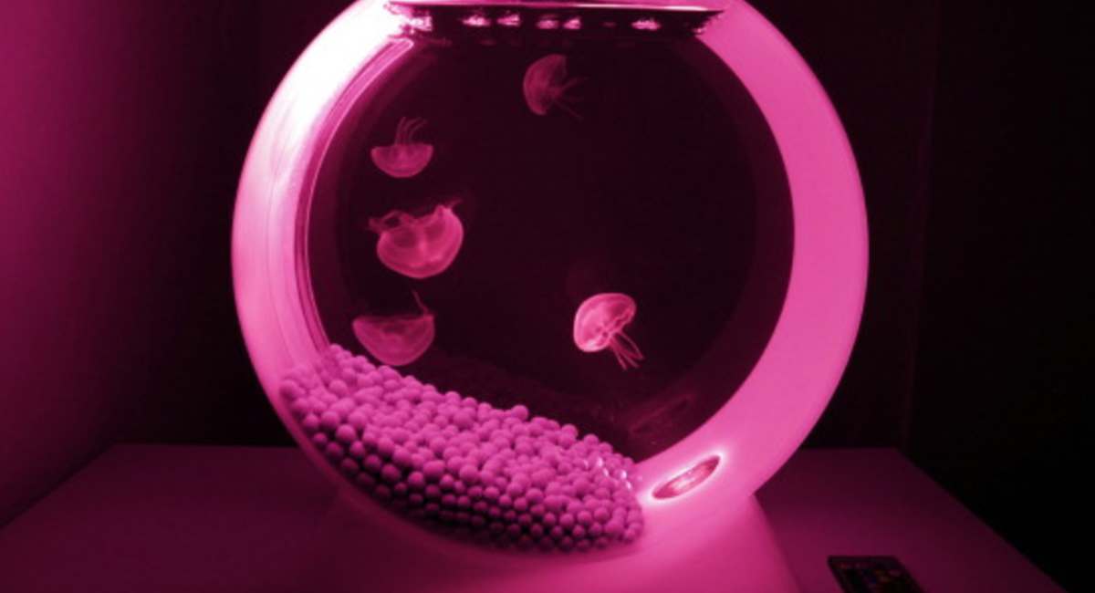 6 Awesome Gifts For Traumatizing The People You Love | Cracked.com