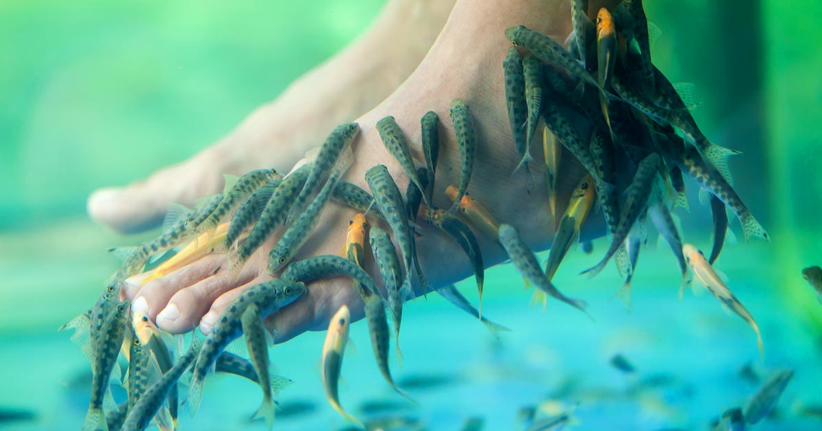 Salmonella Cereal, Super STDs, & Other Breaking Health News | Cracked.com