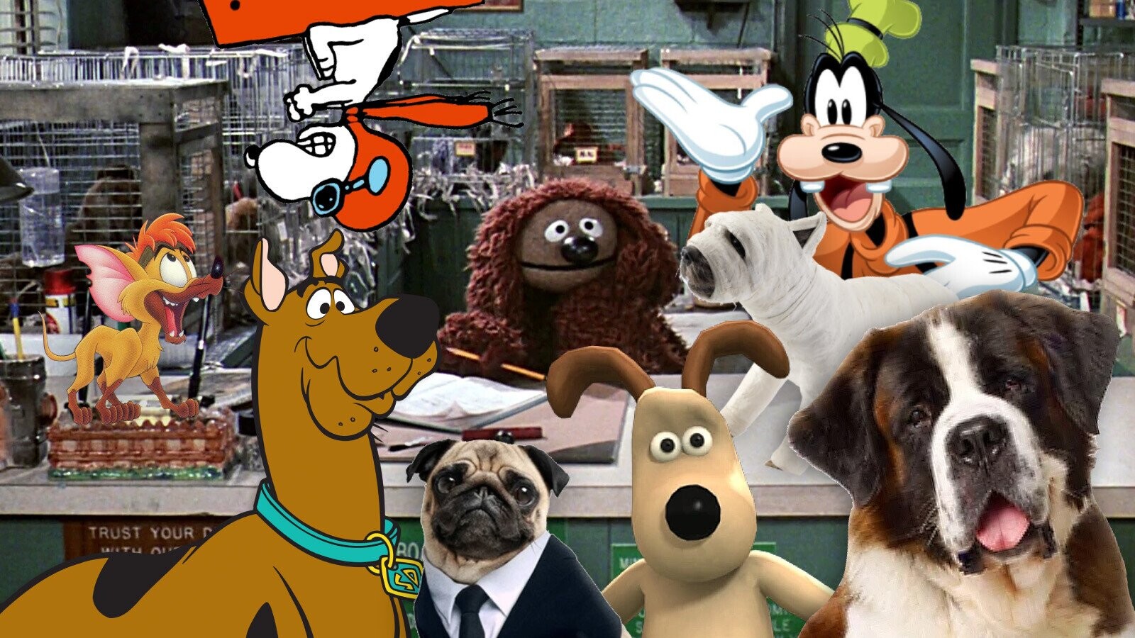 will ferrell dog sarcasm