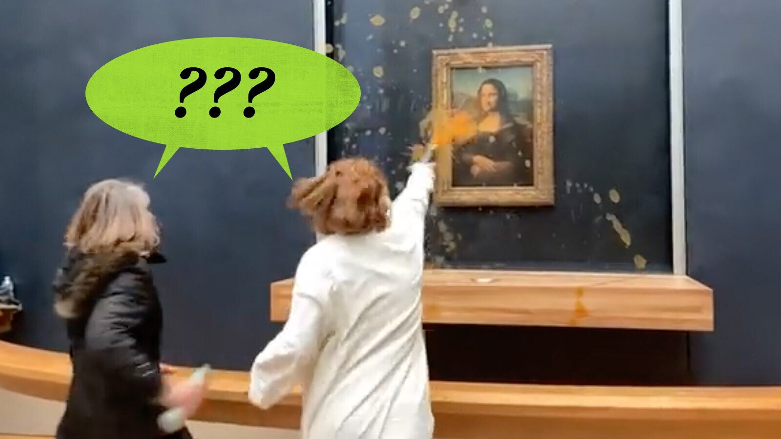 If You’re Gonna Throw Soup at the Mona Lisa, Have A Better Speech ...
