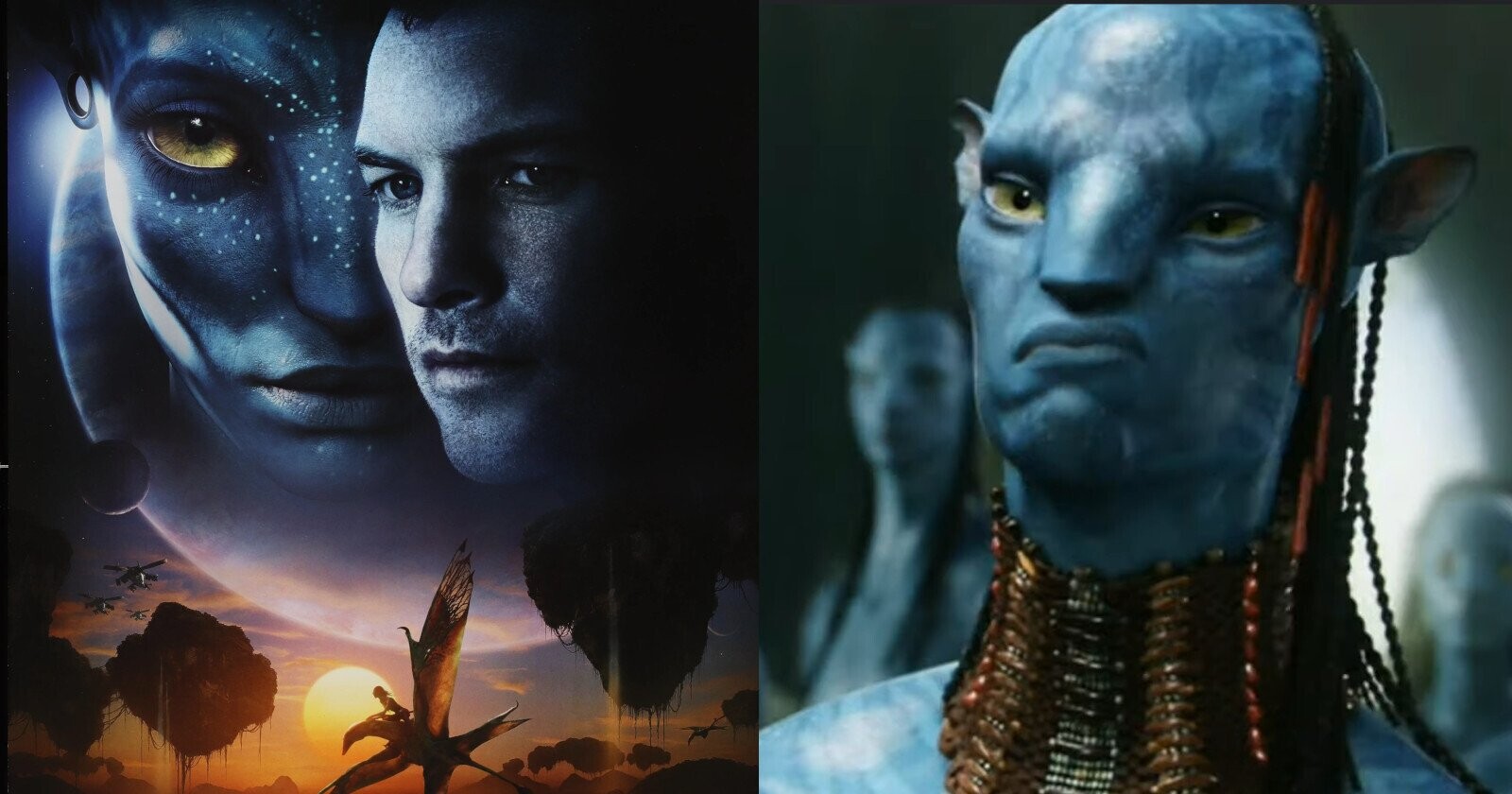 The Much Better Buddy Comedy Hiding Within James Cameron's 'Avatar ...