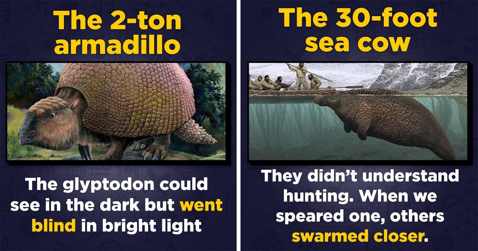 6 Fantastical Animals We Drove To Extinction Cracked
