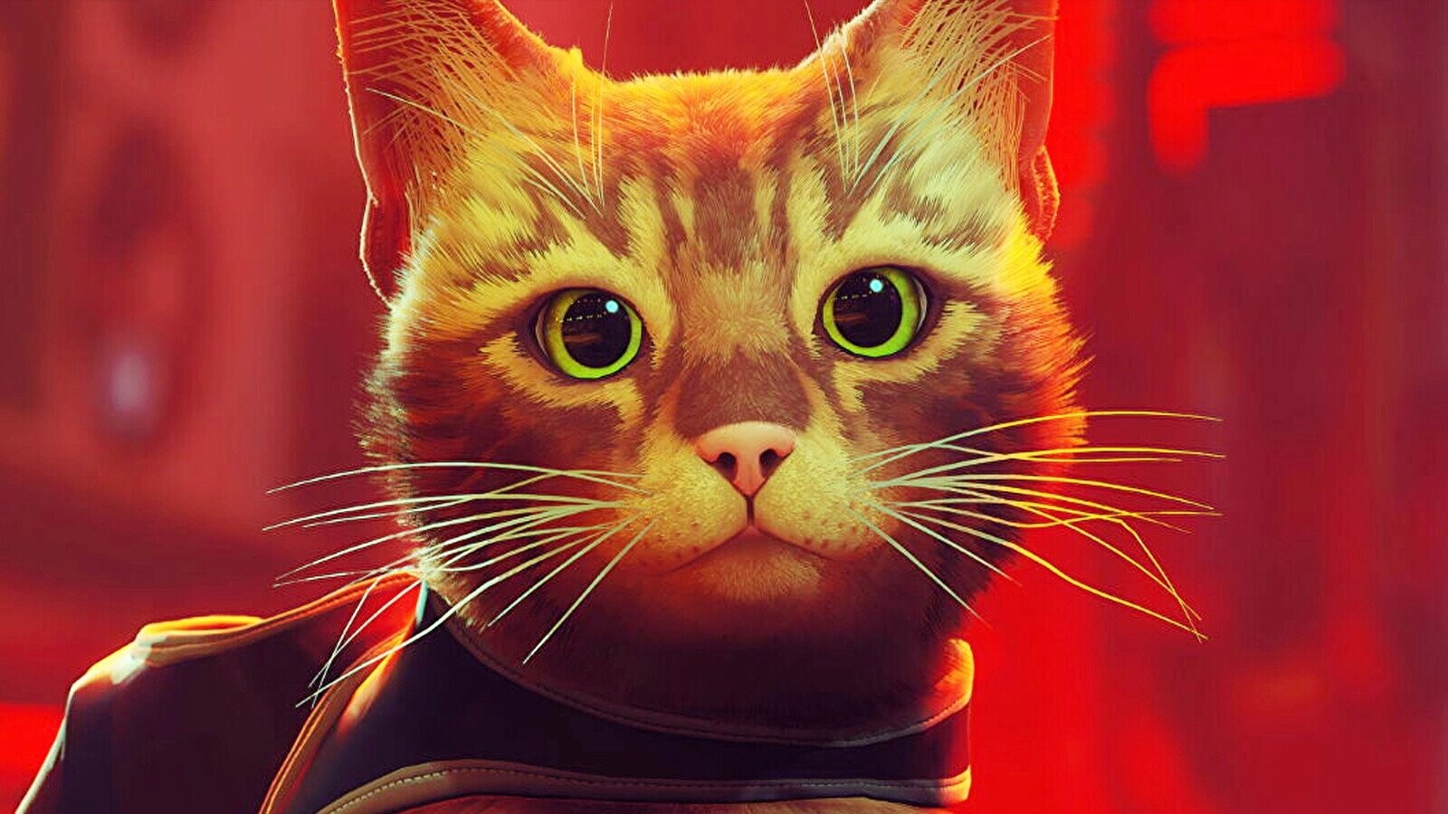 'Stray' Proves That The World Still Belongs To Cats | Cracked.com