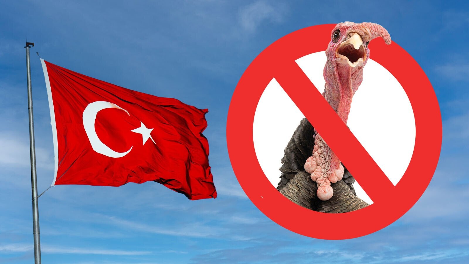 Here’s Turkey Got Its Name Despite Not Having a Single Wild Turkey ...