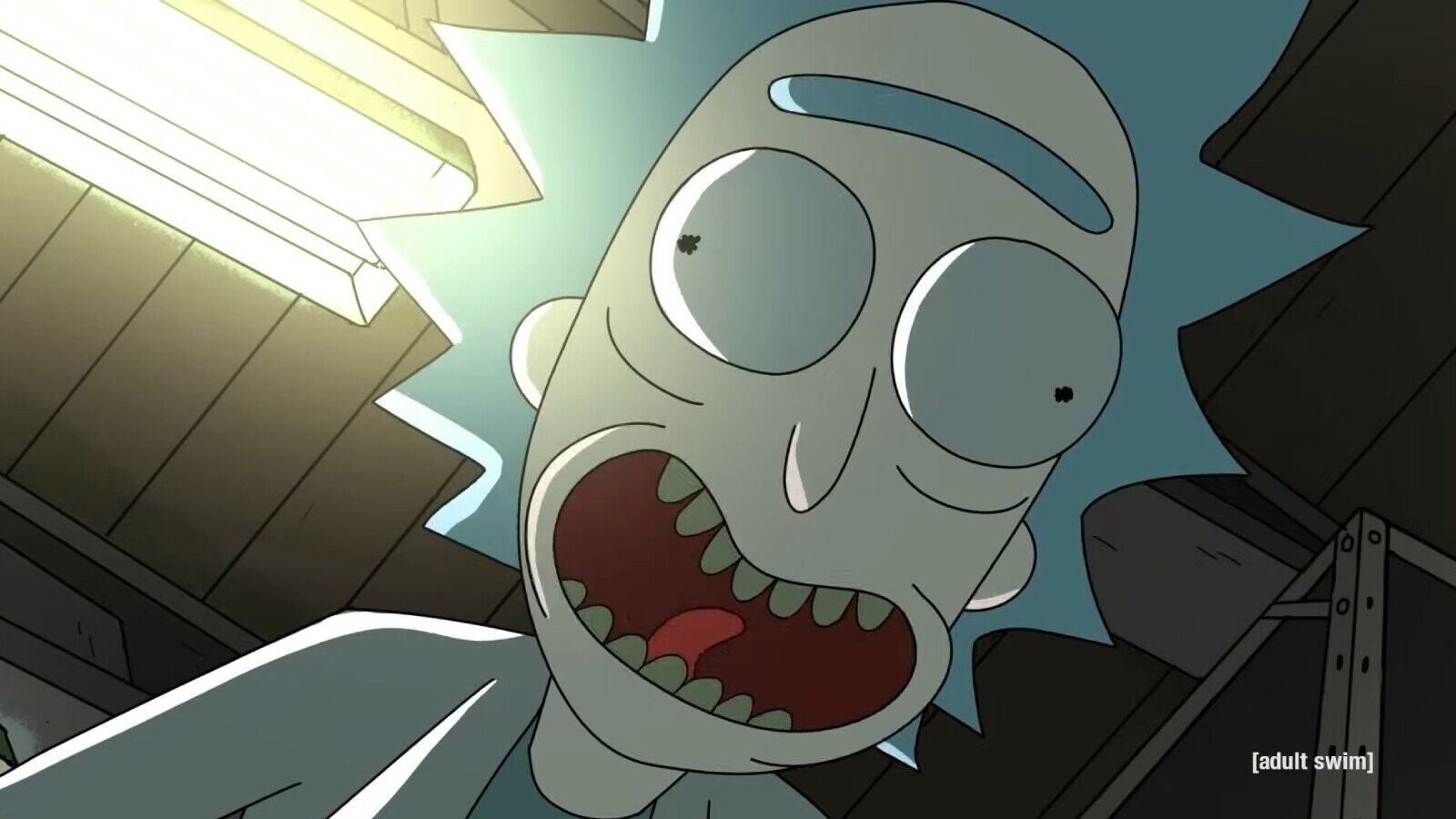 ‘Rick and Morty’ Fans Debate Whether They Actually Want the Show to ...