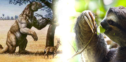 6 Formerly Kickass Creatures Ruined by Evolution | Cracked.com