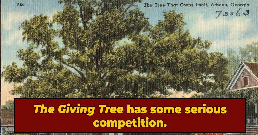 There's A Tree That Owns Itself | Cracked.com