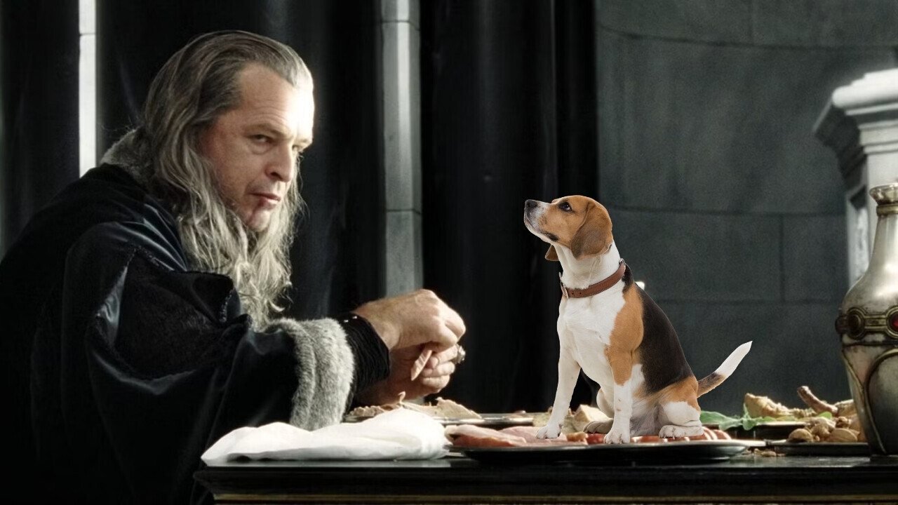 15 'Lord of the Rings' Characters Ranked By How Well They Would Do As ...