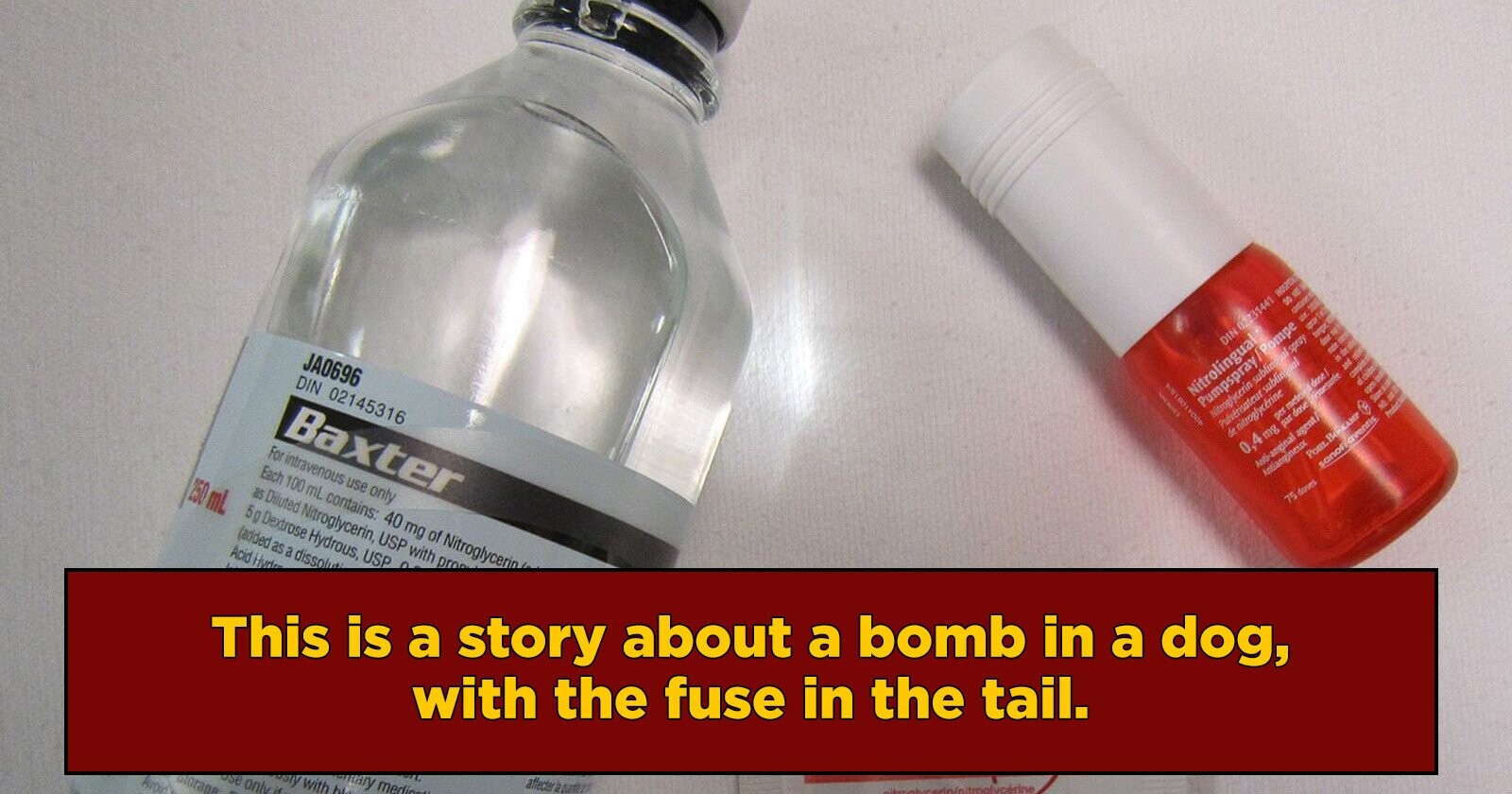 The Tale Of The Taxidermist And The Exploding Dog | Cracked.com