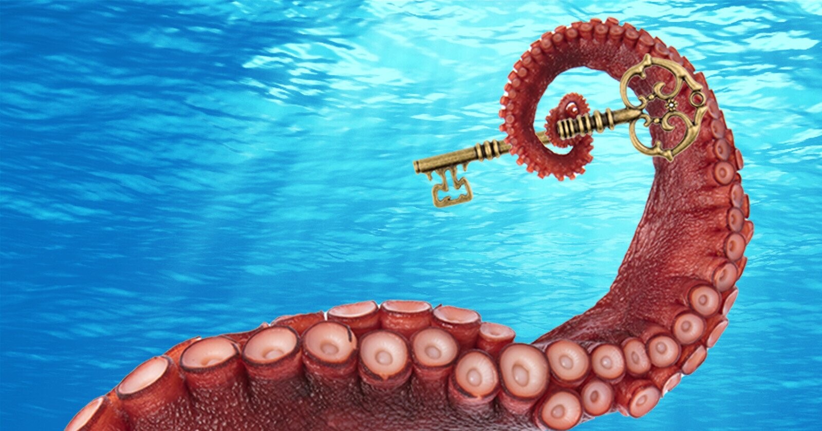 5 Animals That Defeated the Human Oppressors Who Wanted to Keep Them in ...