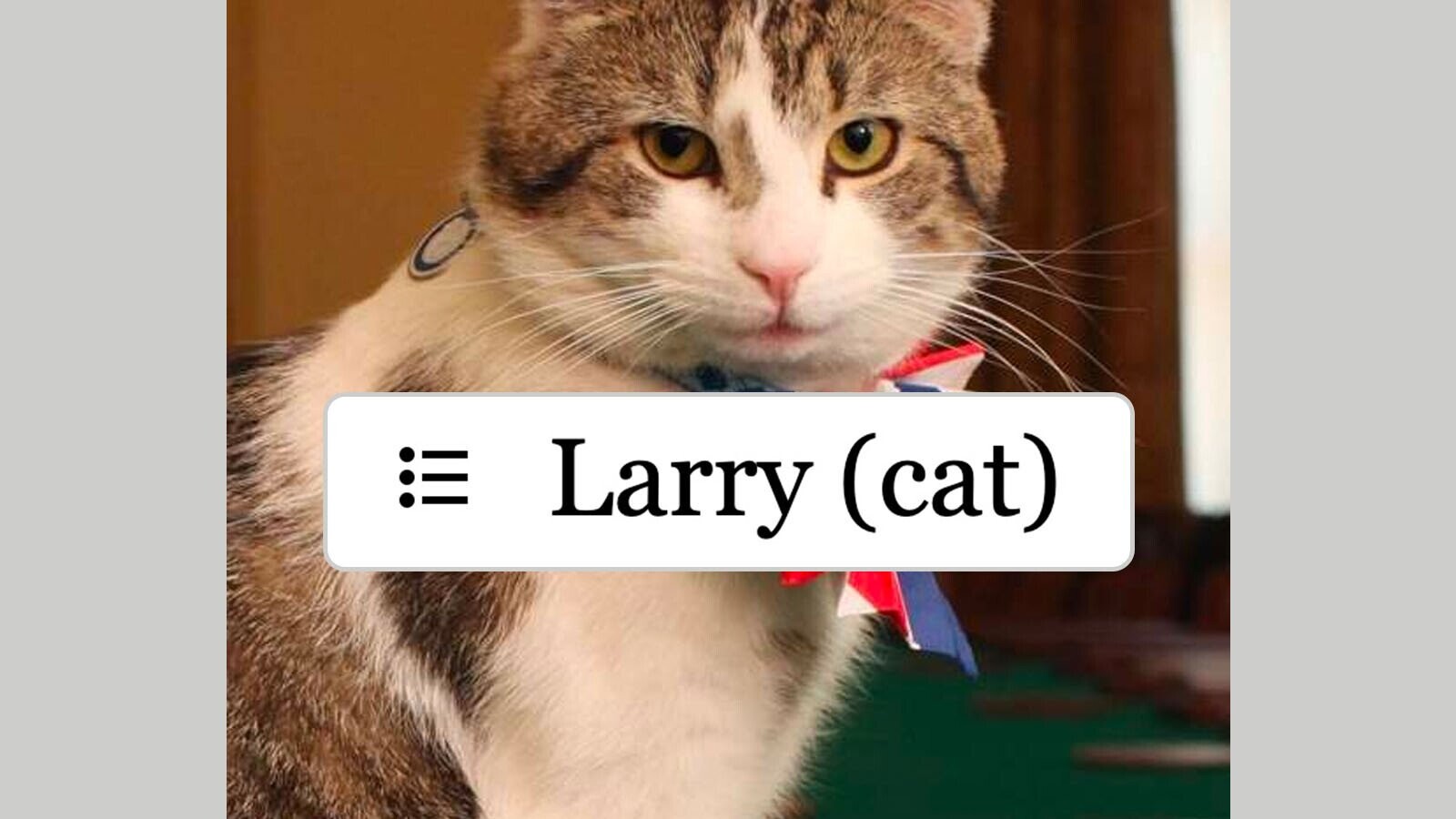 23 of the Most Hilarious Wikipedia Pages | Cracked.com