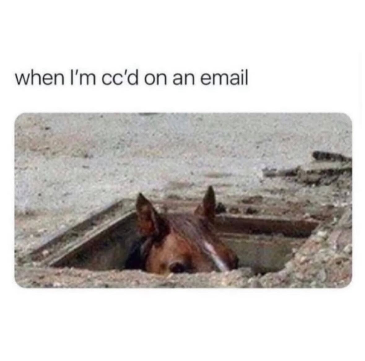 21 Hilarious Work Memes to Send to Your Favorite Office Buddy | Cracked.com