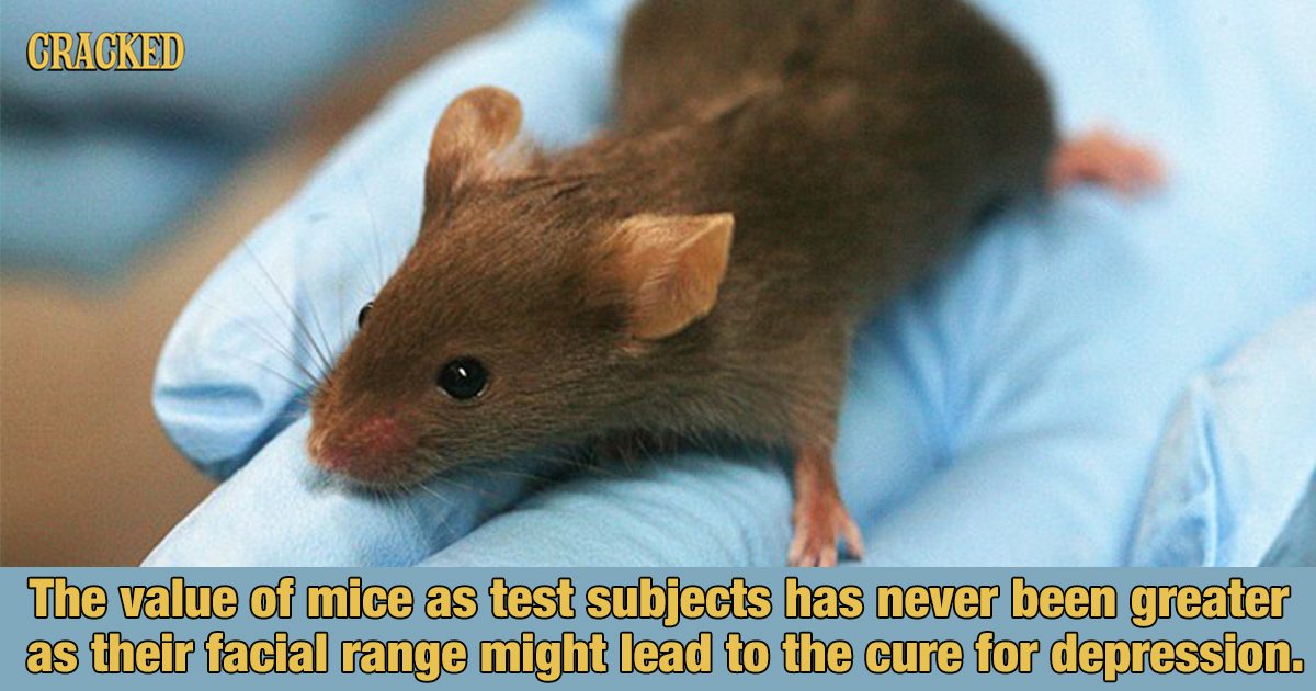 Science Confirms About Mice What Disney's Known Forever | Cracked.com