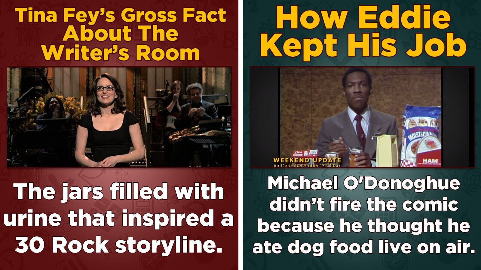 Saturday Night Live: 13 Wild Behind The Scenes Stories | Cracked.com