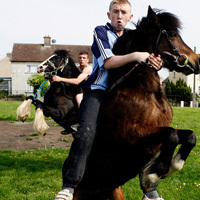 5 Bizarre Subcultures Way Crazier Than Anything from Japan | Cracked.com