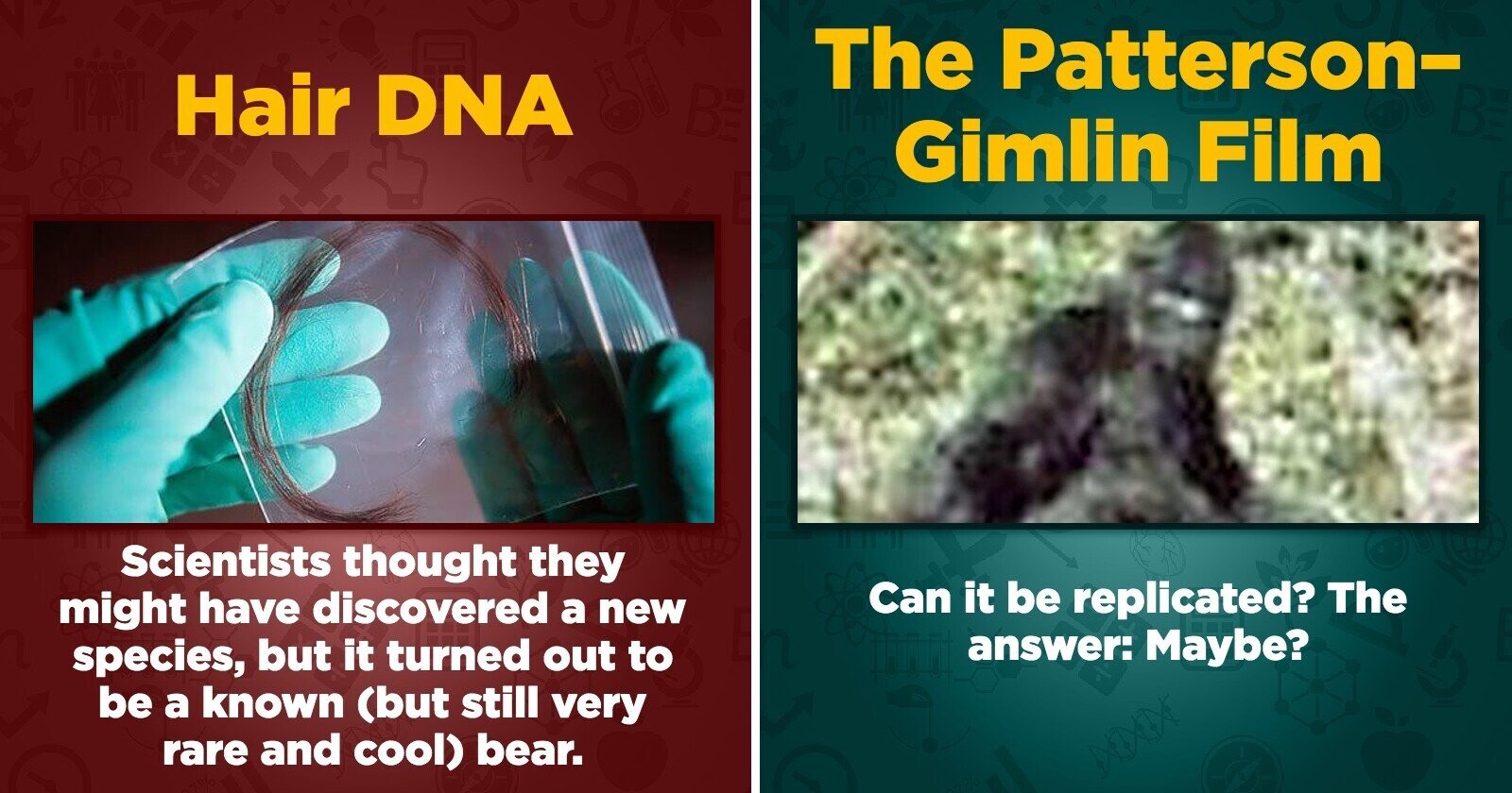 All the Ways Science Has Tried to Prove Bigfoot | Cracked.com