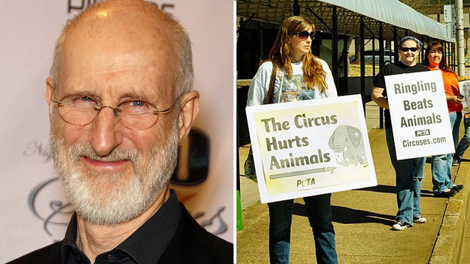 Celebrity Activists Need To Break Up With PETA | Cracked.com