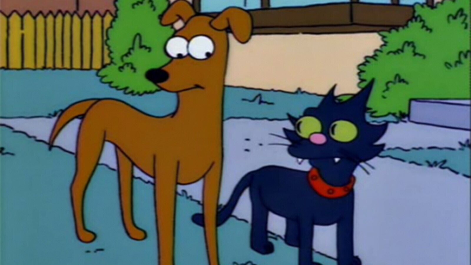 The Best ‘Simpsons’ Jokes About the Springfield Cats and Dogs ‘Crisis ...